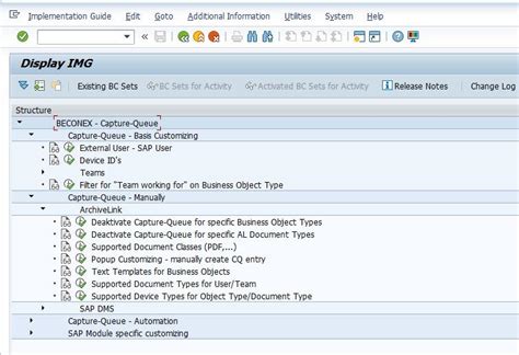 Delegated Document Scanning To The Sap ® System