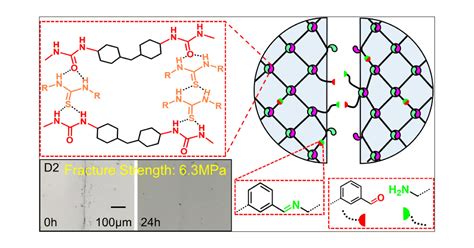 Design Of Robust Self Healing Silicone Elastomers Based On Multiple H Bonding And Dynamic