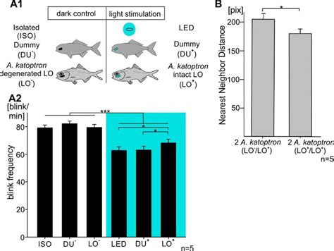 Figure S1 Blink Behavior Of A Katoptron During Exposure To Different Download Scientific