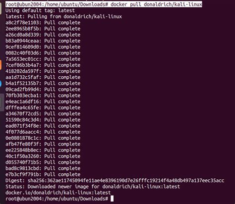 docker and container security penetration testing on docker and