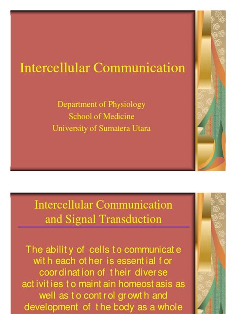 Bbc115 Slide Intercellular Communication Pdf Cell Signaling Chemical Synapse