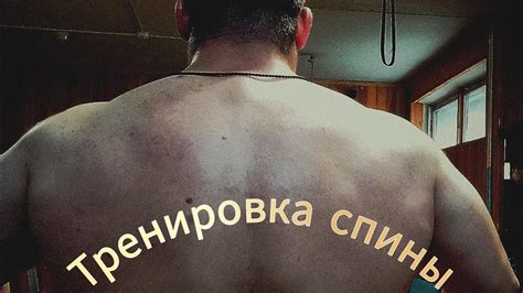 ТРЕНИРОВКА СПИНЫ УПРАЖНЕНИЯ НА СПИНУ ТРЕНИРОВКА НА СИЛУ сила фитнес