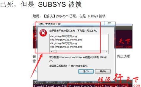 Nginx、php Fpm、mysql用户权限解析nginx的用用户组为什么为mysql Csdn博客