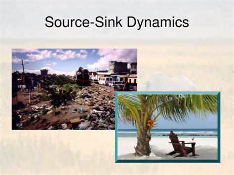 PPT Source Sink Dynamics PowerPoint Presentation Free Download ID