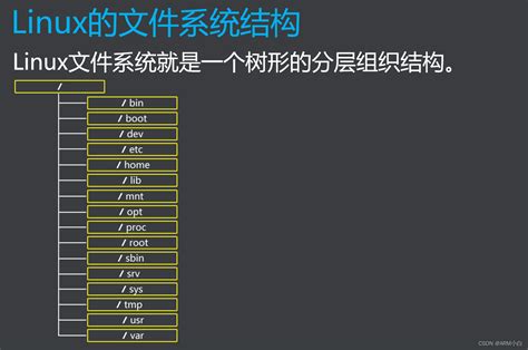 2 linux文件目录相关命令 b 或 escape 显示脱离字符。 b 或 ignore backups 忽略备份文件和目 csdn博客