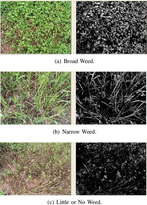 Figure 1 From A Real Time Iot And Image Processing Based Weeds