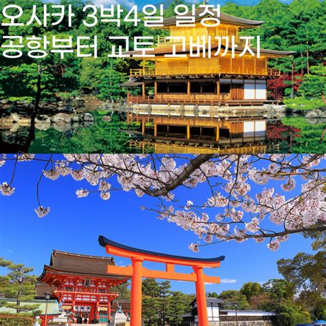 네이버 인플루언서