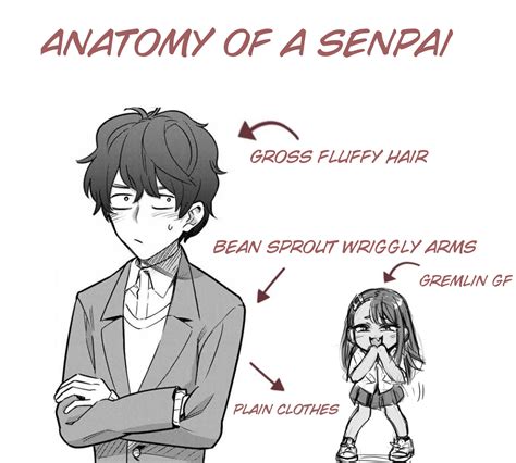 Anatomy Of A Senpai For Future Reference R Nagatoro