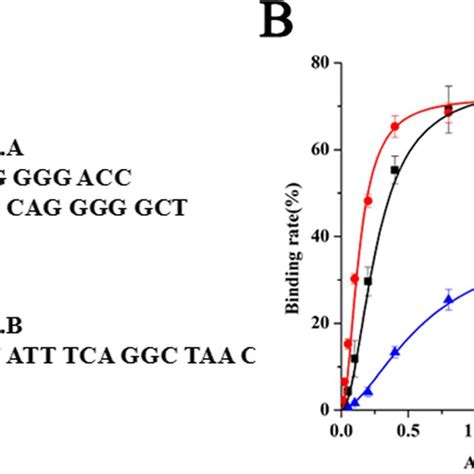 Aptamer Secondary Structure Simulation And Kd Determination A The Download Scientific