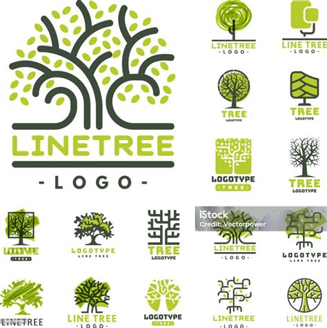 나무 야외 여행 녹색 실루엣 숲 배지 침 천연 배지 상판 스프루 스 라인 벡터 떡갈나무에 대한 스톡 벡터 아트 및 기타 이미지 떡갈나무 실루엣 컷아웃 Istock