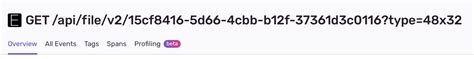 Routes With Query Parameters Got Wrong Transaction Name · Issue 6586