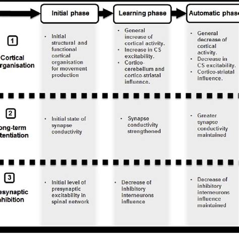 pdf neural plasticity during motor learning with motor imagery