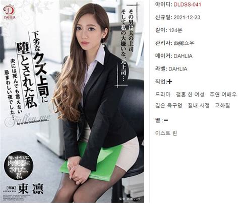 DLDSS 표지사진 모음 109 021 AVDBS