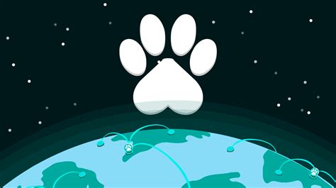 PAW Terminology