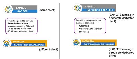 How To Make The Transition From Sap Gts 110 To Sa Sap Community