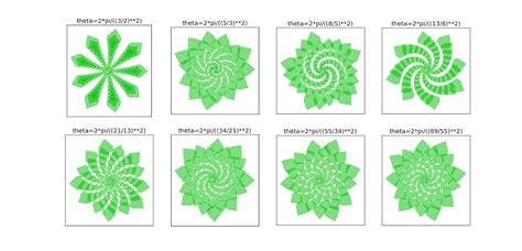 Phyllotaxis And Fibonacci