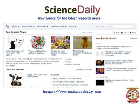 Scope For Biomedical Engineers Pptx