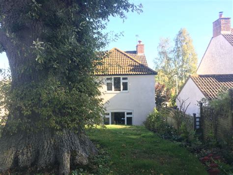 Tree Preservation Orders And Conservation Area Planning Applications Devon Tree Consultant