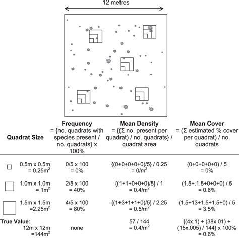 Estimation Of Frequency Density And Cover In Relation To Quadrat Size