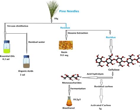 A Schematic Representation Of Process Download Scientific Diagram
