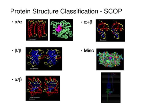Ppt Introduction To Proteomics And Protein Structure Modeling Bmi 705