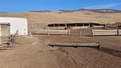 Өвөлжөө хаваржаа хороо авна зарна Улаанбаатах хот Гачуурт дэндий аманд Эрчимжсэн мал аж