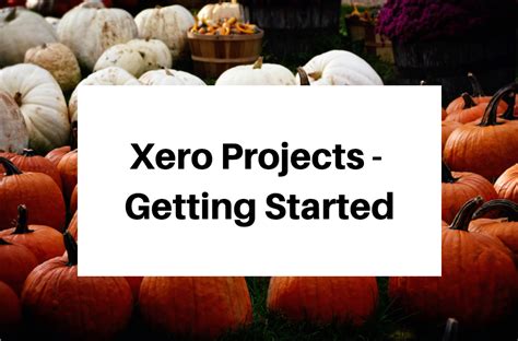 Getting Started With Xero Projects