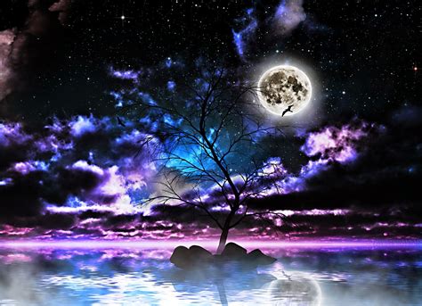 Moonlight Nature Wallpaper