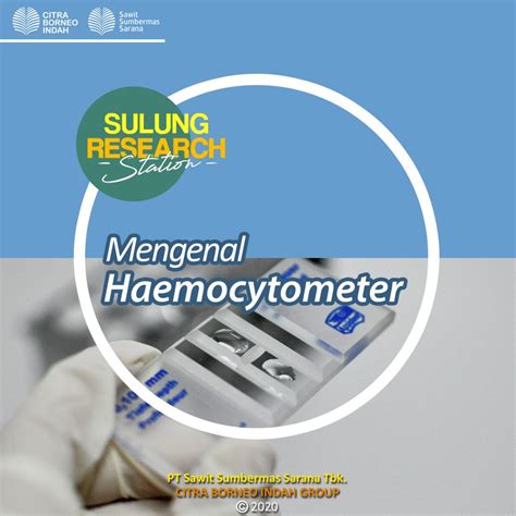 Mengenal Haemocytometer Sulung Research Station
