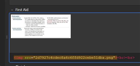 Missing Images After Syncing 🐛 Bug Ankihub Community