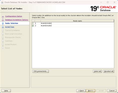 Oracle 19c Database Creation On Rhel 810 Labmice Documentation