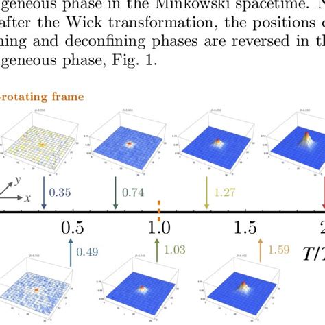 Local Expectation Value Of The Co Rotating Polyakov Loop P In The Bulk