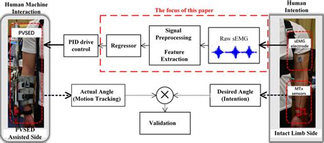 Human Exoskeleton Interaction Based On Joint Angle Estimation From Semg