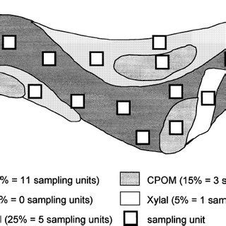 Example Of Sampling Unit Position In A Theoretical Sampling Site Download Scientific Diagram
