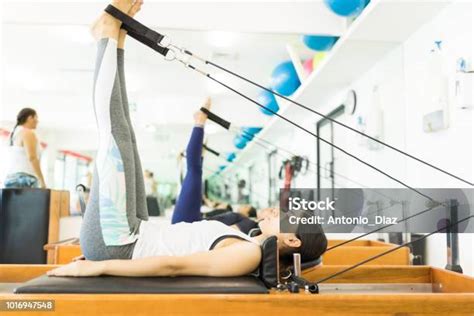 개혁 기계에 운동 하는 동안 그녀의 피트 니스를 유지 하는 클라이언트 필라테스에 대한 스톡 사진 및 기타 이미지 필라테스 필라테스 기계 20 29세 Istock