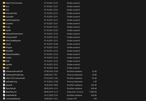 FiveM Crashes With Plugin S After Connecting To My Own Server FiveM Client Support Cfx Re