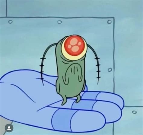 Plankton Sponge Bob Cute Spongebob Funny Spongebob Funny Pictures