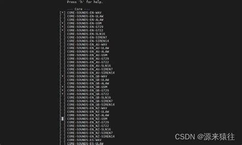 基于docker部署asterisk20 asterisk docker csdn博客