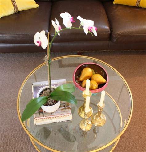 71 Turtle Shell Project Ideas Turtle Shell Decor Interior