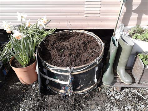 The Wind And The Wellies The Recycled Gardener