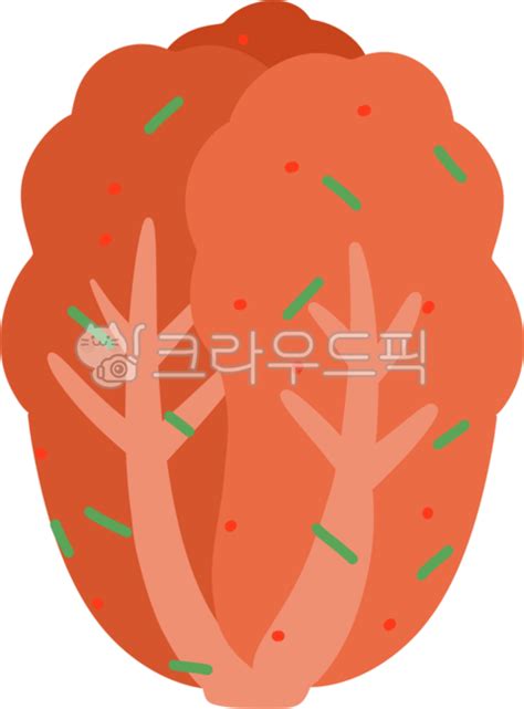 김치 김장 김장철 김장담그기 배추 사진 이미지 일러스트 캘리그라피 Mhj6430작가