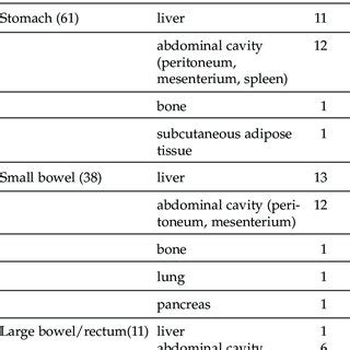 Presence Of Skeinoid Fibers In A Small Intestinal GIST X Download Scientific Diagram