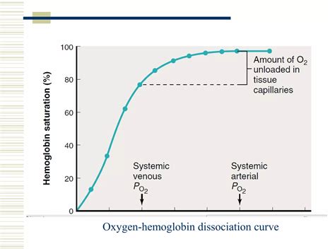 Physiology Of O2 Transport And O2 Dissociation Curve Ppt Lung And