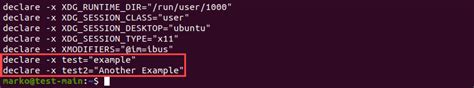 Bash Export Variable With Examples