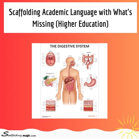 Scaffolding Academic Language With Whats Missing Higher Education Scaffolding Magic
