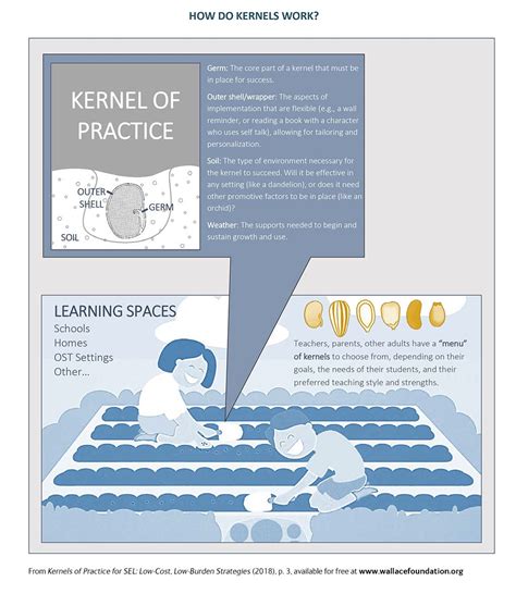 Kernels Of Practice For SEL Low Cost Low Burden Strategies Wallace Foundation