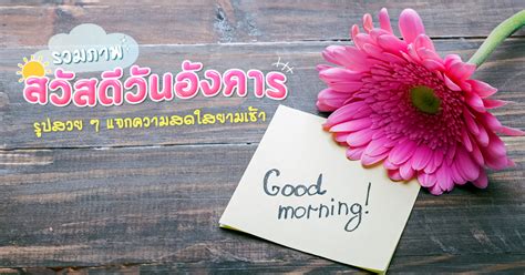 สวัสดีวันอังคาร รูปภาพทักทาย สวัสดีวันอังคารประจําวันสวย ๆ