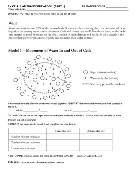 Pogil Biological Molecules Worksheet Answers