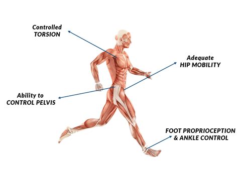 Dynamic Stability Example At Kristian Christenson Blog