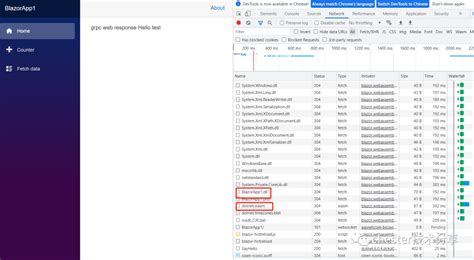Blazor Webassembly Grpc Web未来？ 董川民